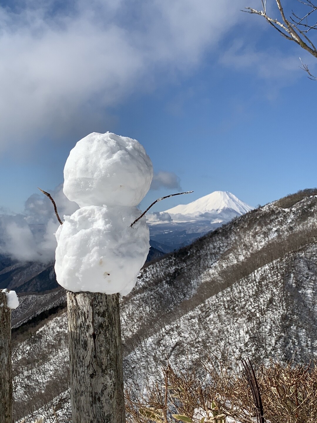 塔ノ岳-2020-01-19 / SKさんの塔ノ岳・丹沢山・蛭ヶ岳の活動データ | YAMAP / ヤマップ