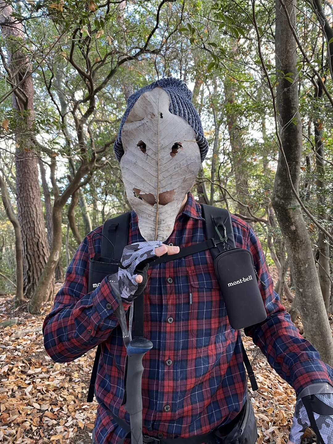 岩巣山 / fukapuさんの岩巣山・三国山・折平山の活動データ | YAMAP / ヤマップ