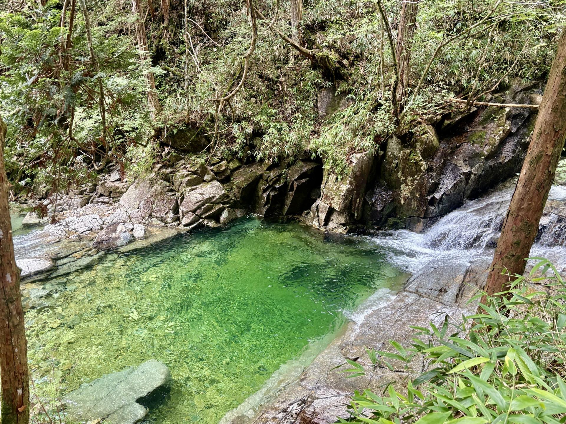 夕森天然公園 / ぶ〜こさんの奥三界岳・夕森山の活動データ | YAMAP / ヤマップ