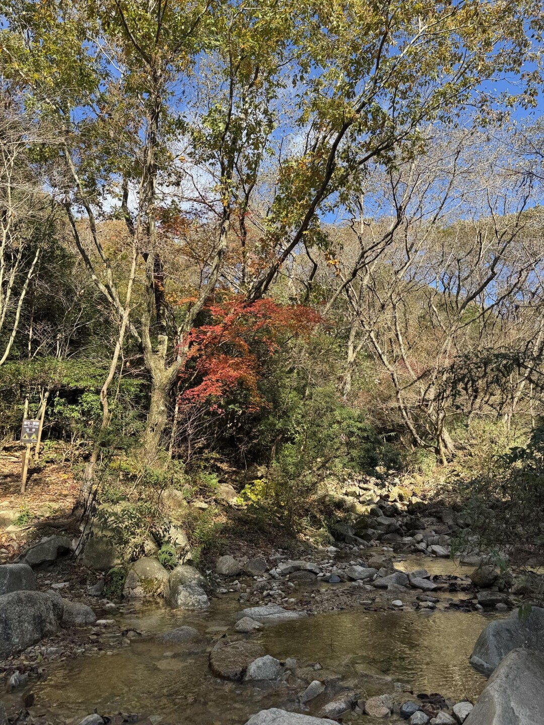 六甲山 / Yama-mo-ryさんの六甲山・長峰山・摩耶山の活動データ | YAMAP / ヤマップ