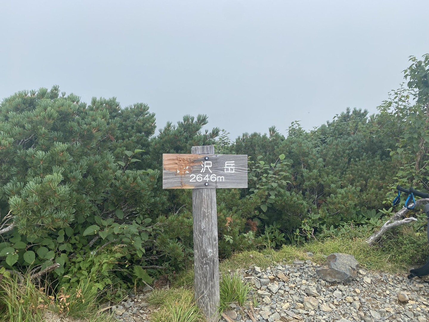 上高地→霞沢岳 / SuzY^^YanOさんの霞沢岳の活動データ | YAMAP / ヤマップ