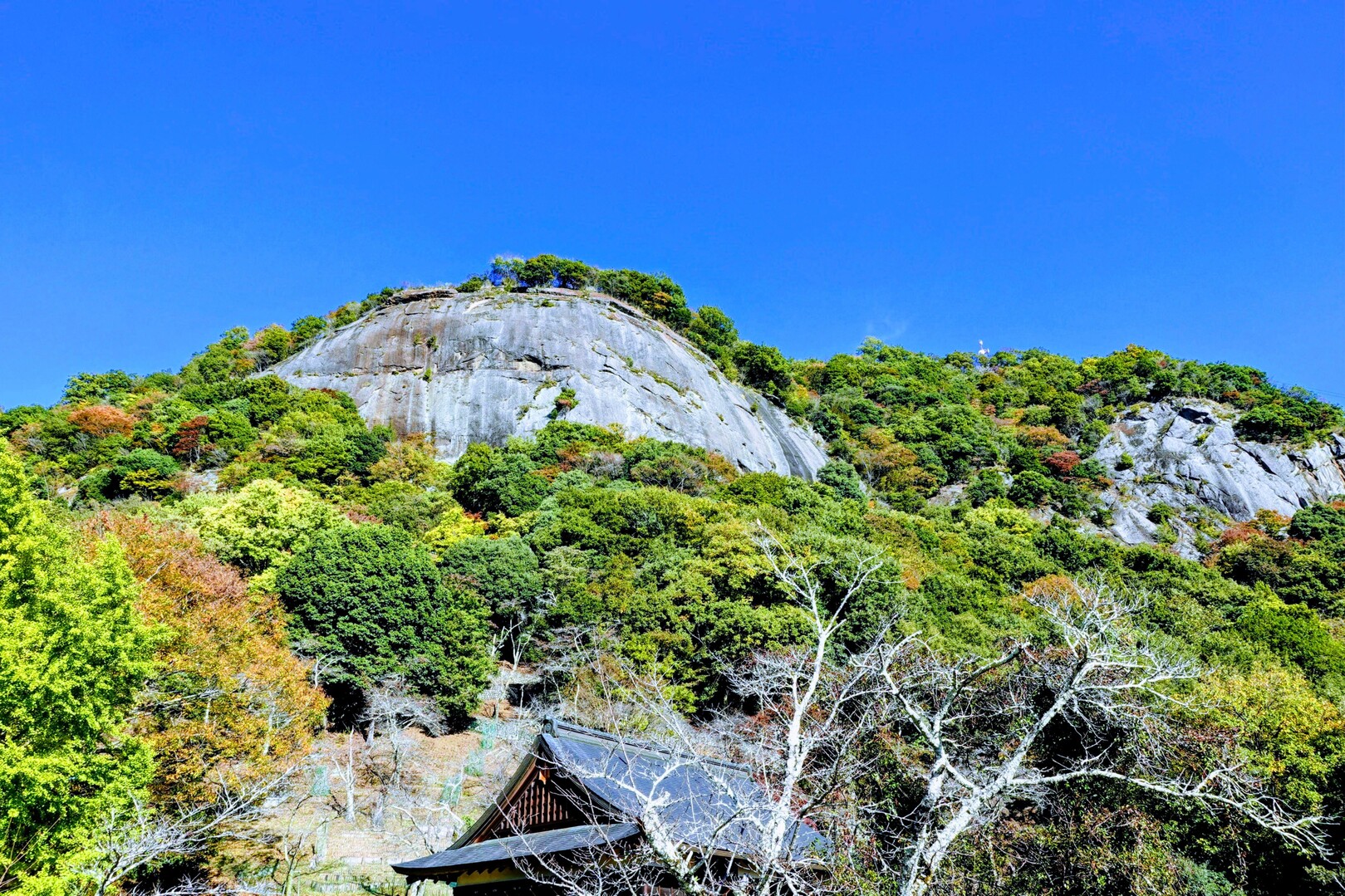 丸山・岩殿山・天神山 / UGさんの雁ヶ腹摺山・岩殿山の活動データ | YAMAP / ヤマップ