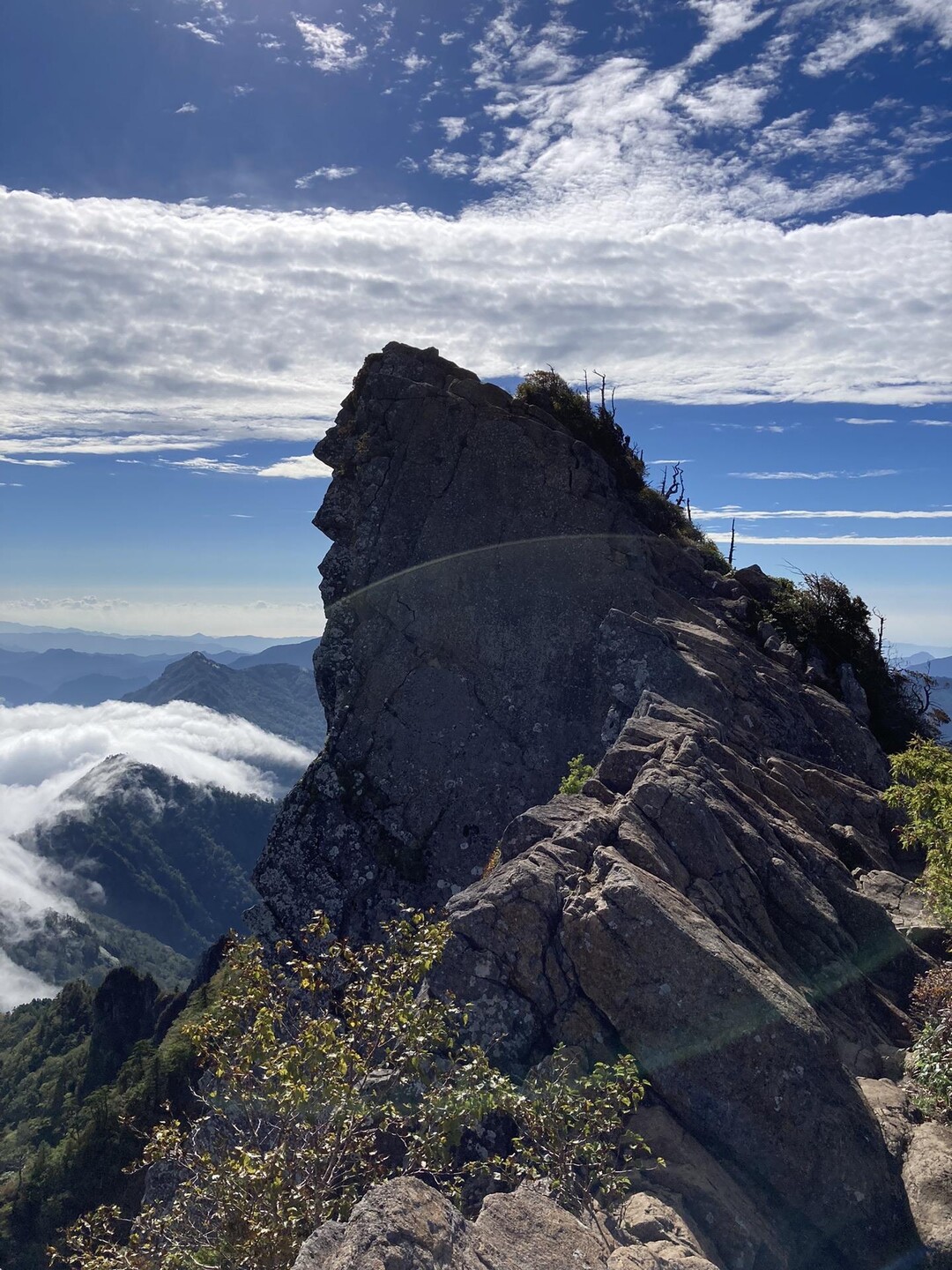 日本百名山 石鎚山 / maecciさんの石鎚山・堂ヶ森・二ノ森の活動データ | YAMAP / ヤマップ