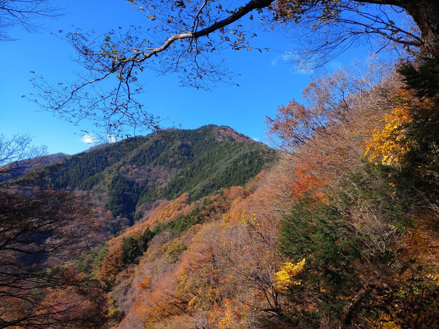 虚空蔵山・風越山（権現山） / hana0910さんの風越山（権現山）・虚空蔵山の活動日記 | YAMAP / ヤマップ