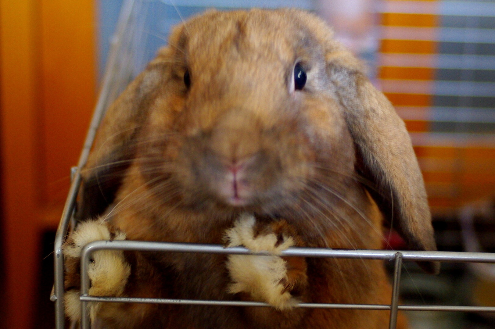 むかすものページ | YAMAP / ヤマップ