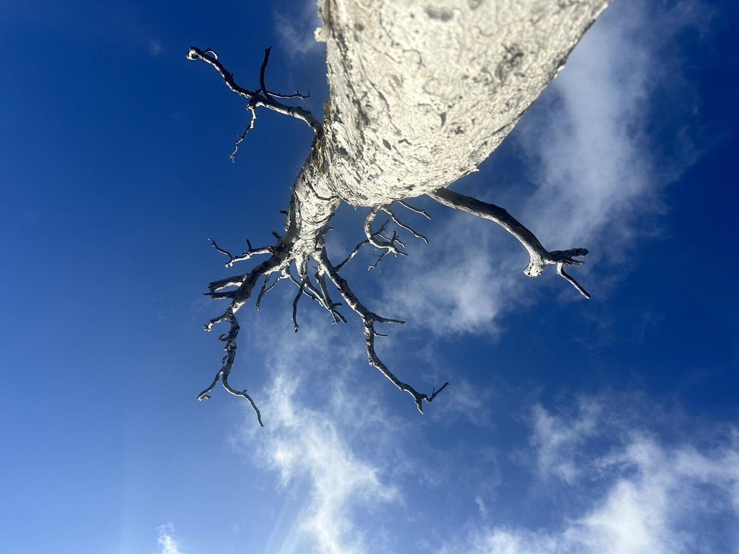 ミノブチ岳・俎嵓・燧ヶ岳（柴安嵓）・至仏山・小至仏山・中原山・白尾山・皿伏山 / kou~>さんの尾瀬・燧ヶ岳の活動データ | YAMAP / ヤマップ