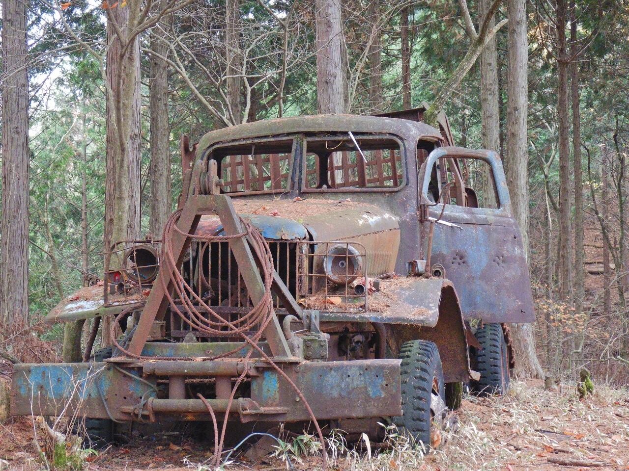 奈良倉山･三頭山 鶴峠ダブル / km117さんの三頭山・槇寄山・土俵岳の活動データ | YAMAP / ヤマップ