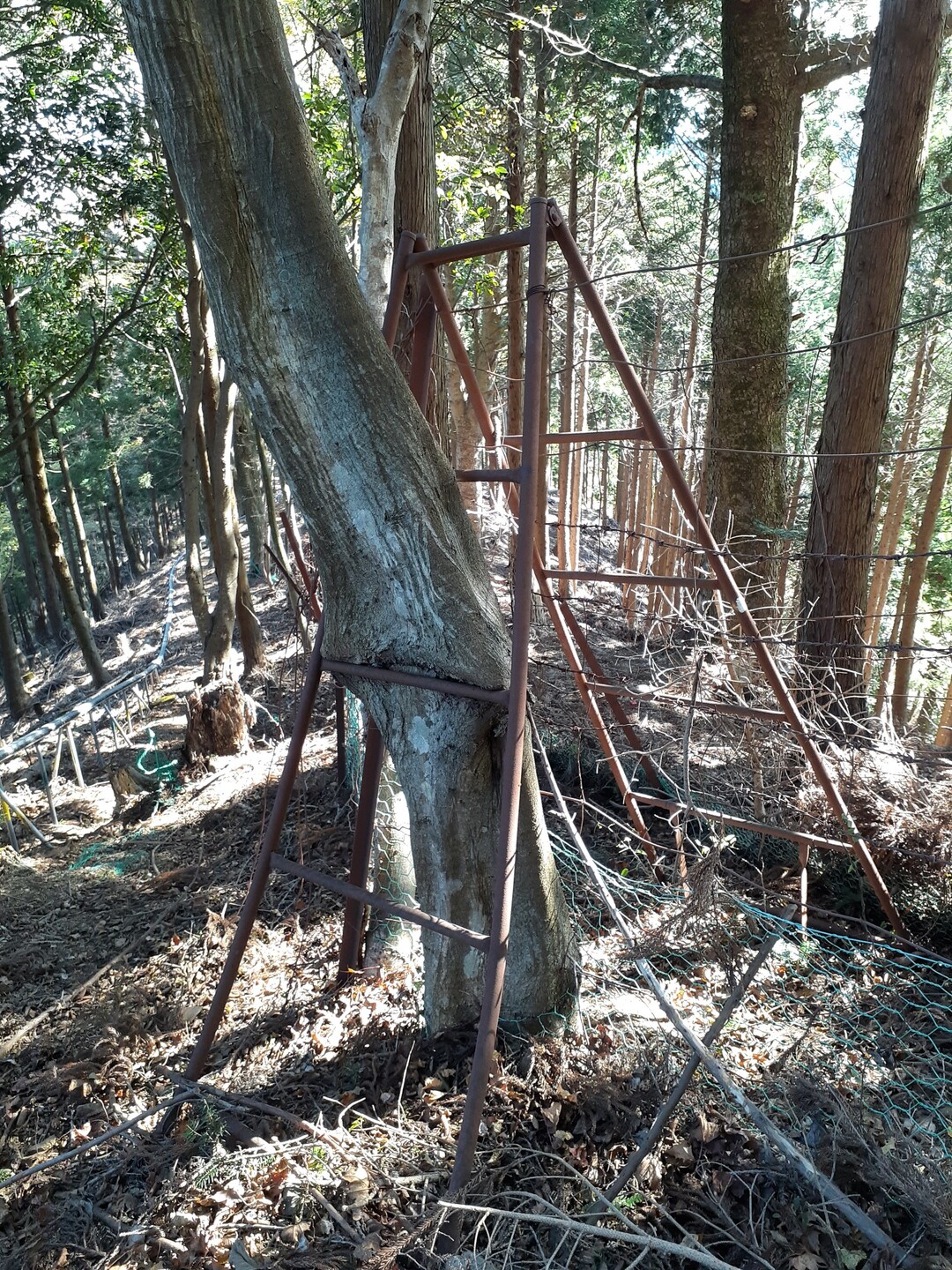 ko usさんの投稿したフィールドメモ | YAMAP / ヤマップ