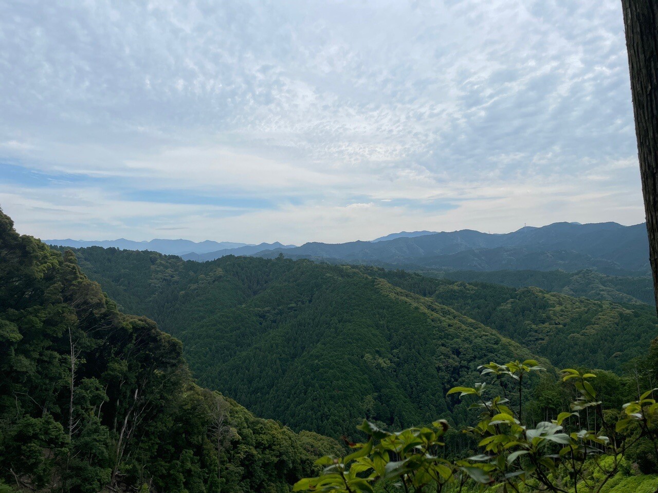 光明山 / TKC90さんの光明山の活動データ | YAMAP / ヤマップ