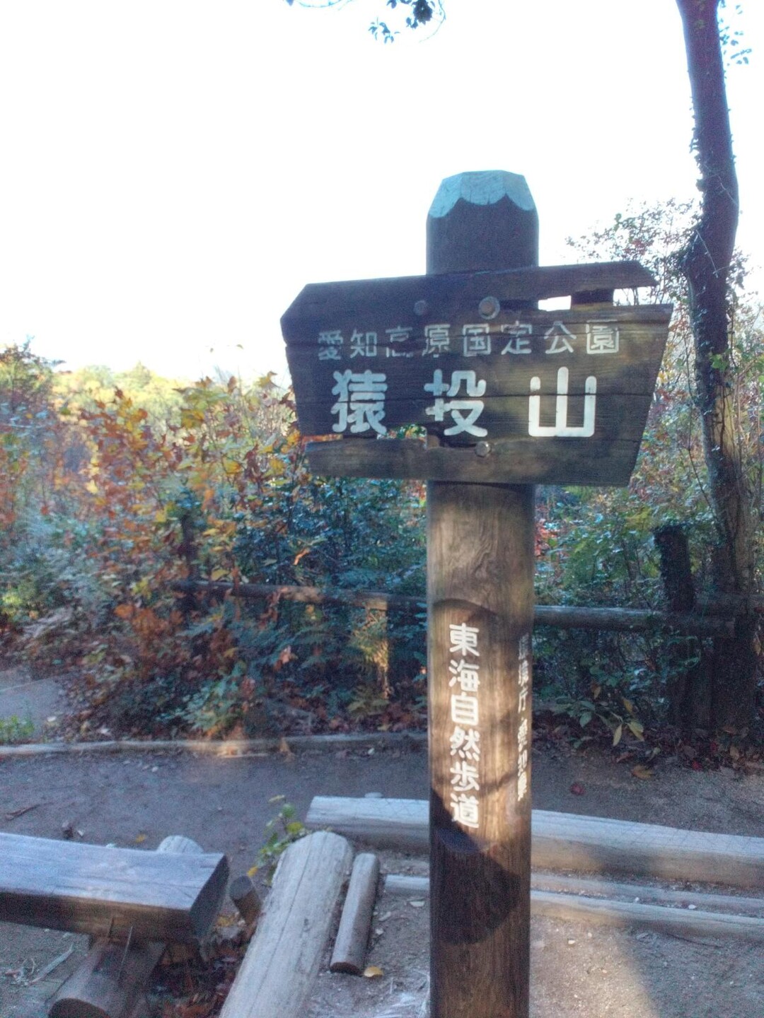 20241123リハビリ登山 猿投山 / swampさんの猿投山・物見山の活動データ | YAMAP / ヤマップ