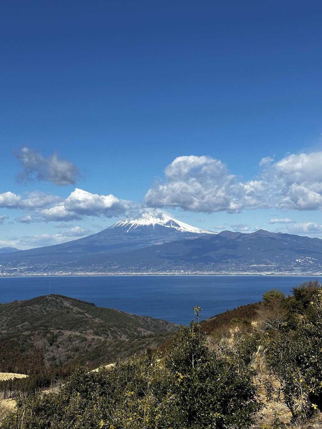 にゃんsと😸😸🚌真城山etc. / amiさんの金冠山・達磨山・葛城山の活動データ | YAMAP / ヤマップ