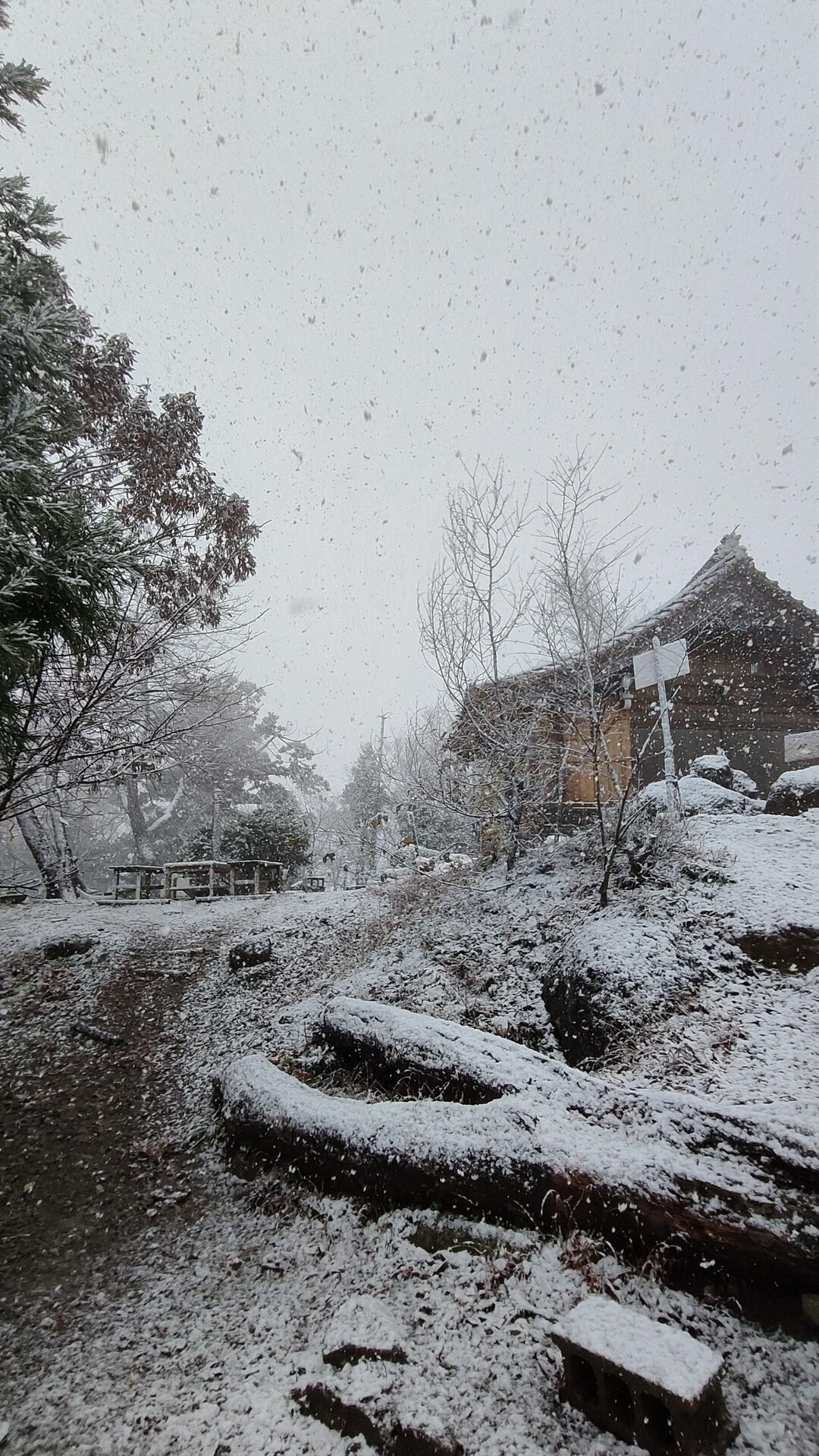 文殊山 241214 / UmK うめさんの福井市の活動データ | YAMAP / ヤマップ