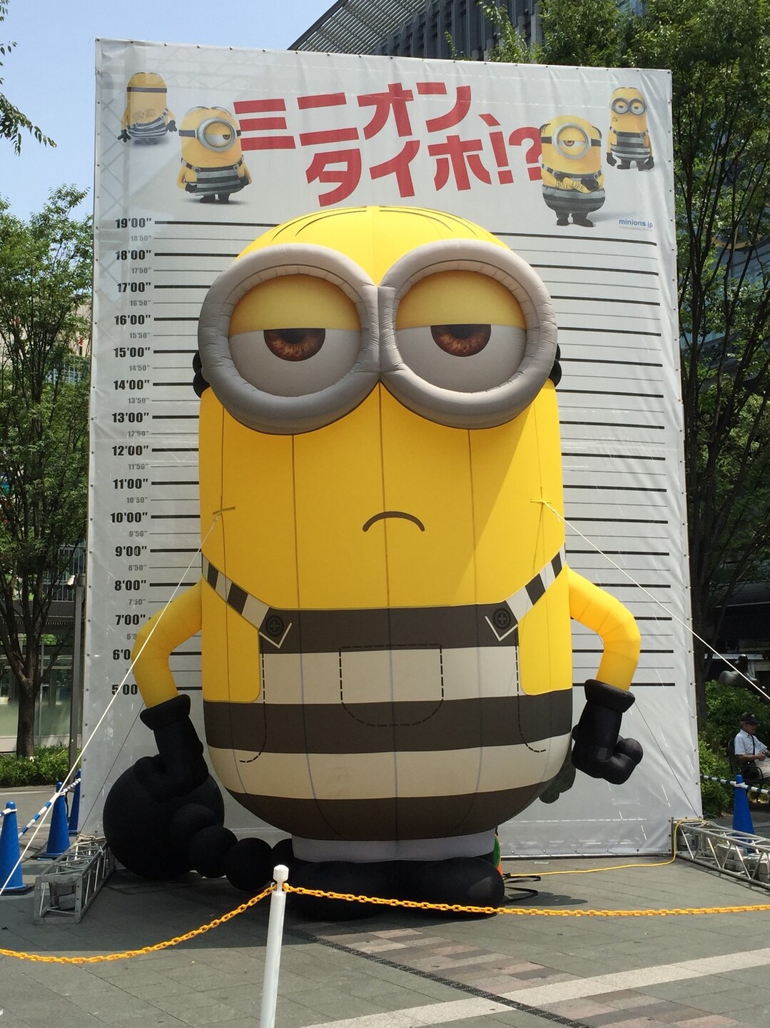 kayo | YAMAP / ヤマップ