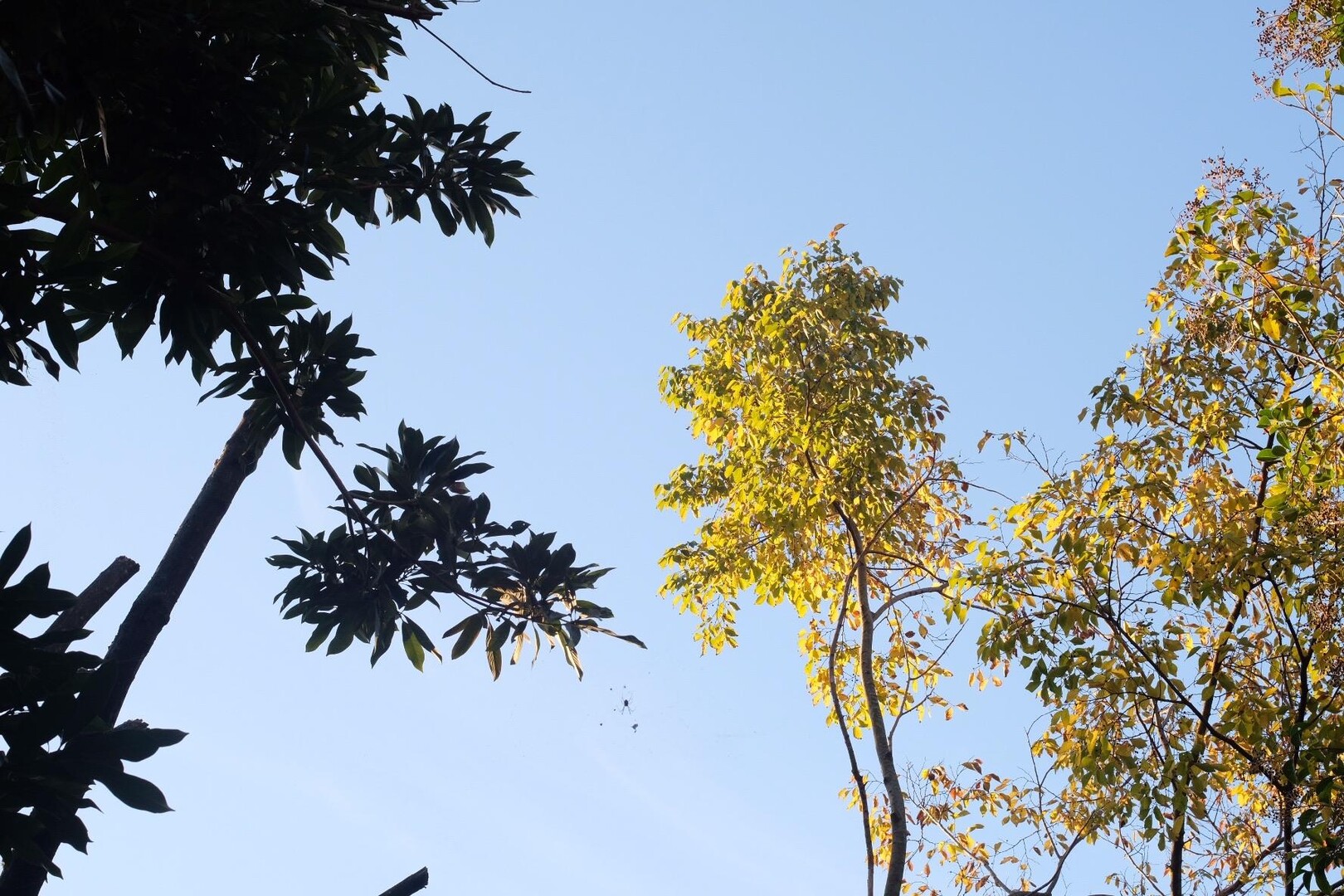 2022.11.6 志井川散策 / K.Oさんのモーメント | YAMAP / ヤマップ