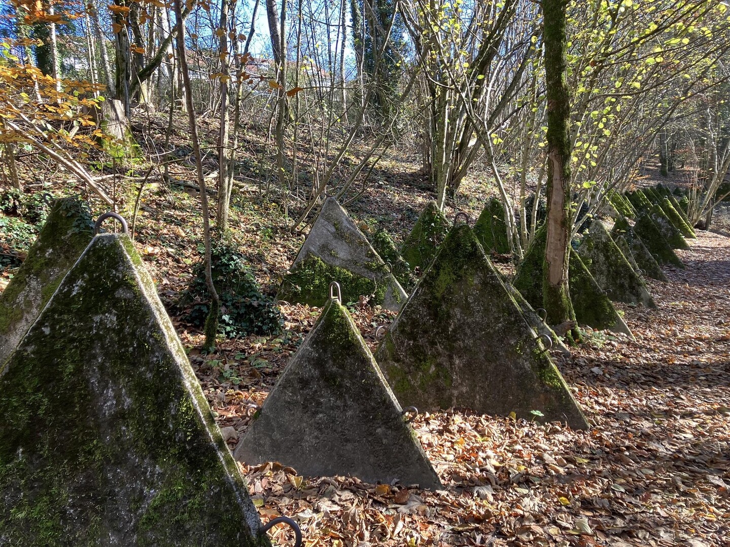 Sentier des Toblerones / きりしまさんのウォーキングの活動データ | YAMAP / ヤマップ