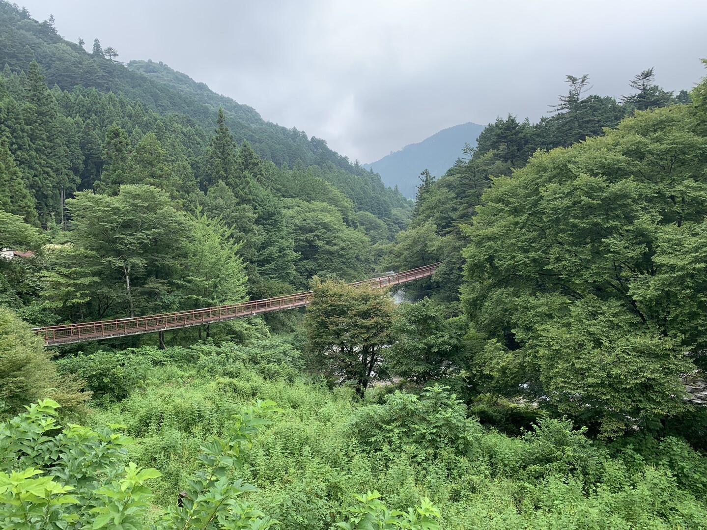 先日TVで秋川渓谷を紹介していました。早... / sayuさんのモーメント | YAMAP / ヤマップ