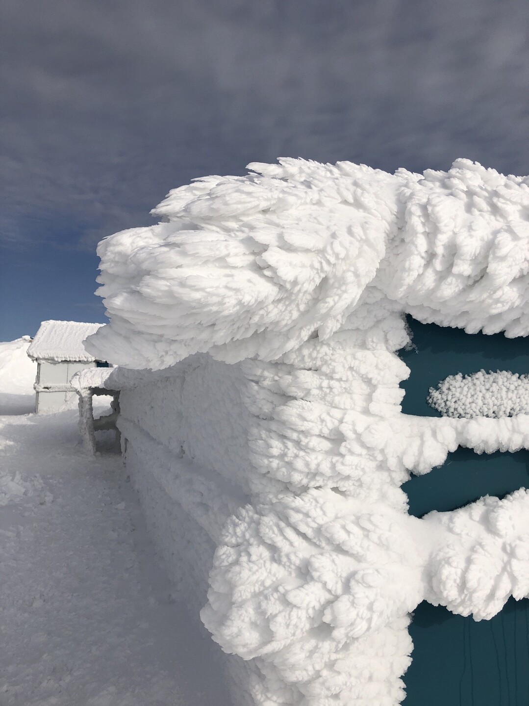 伊吹山 / aspiさんの伊吹山・伊吹高原・御座峰の活動データ | YAMAP / ヤマップ