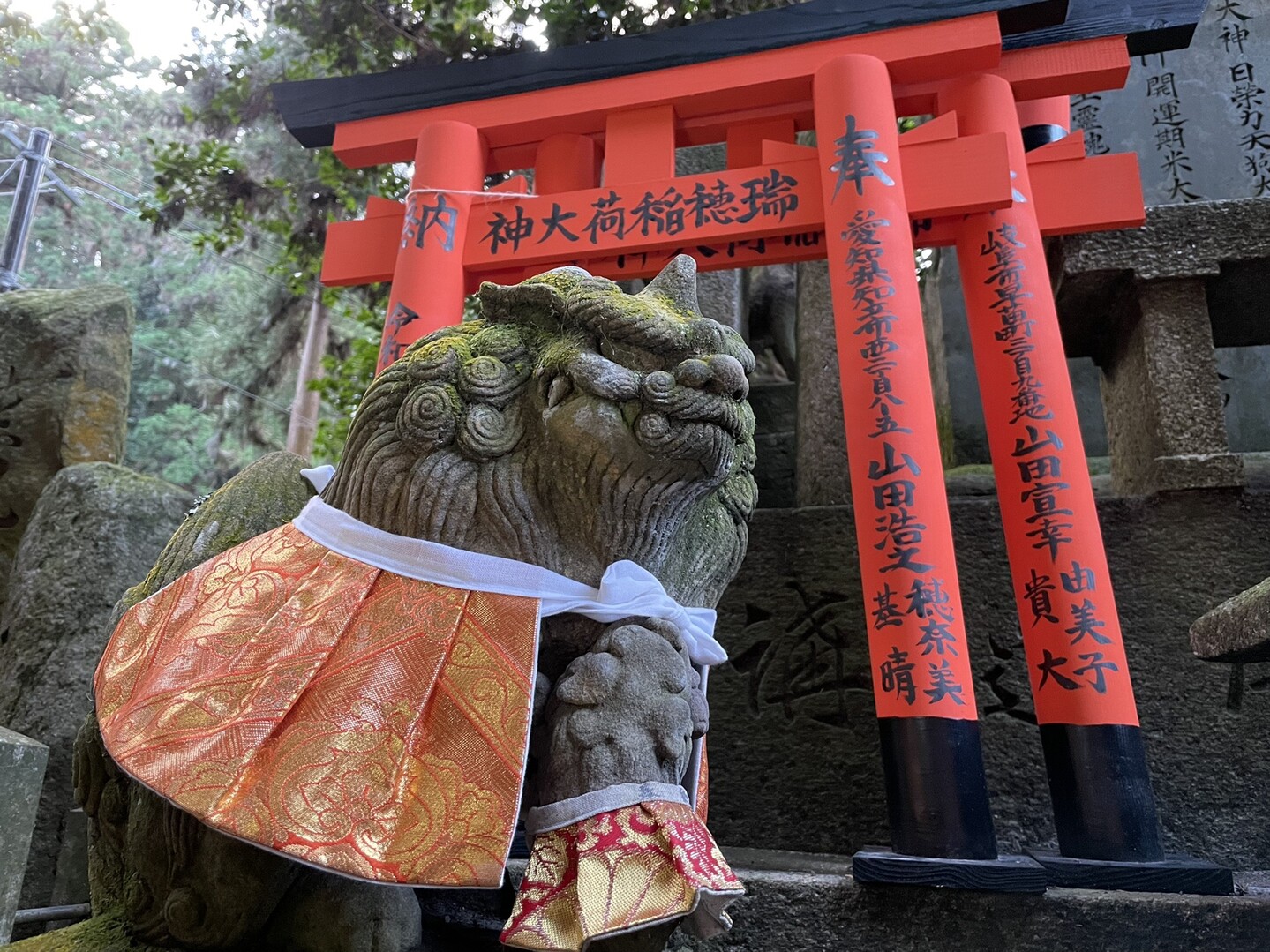 ウォーキング-2022-01-03 / joyさんのウォーキングの活動データ | YAMAP / ヤマップ