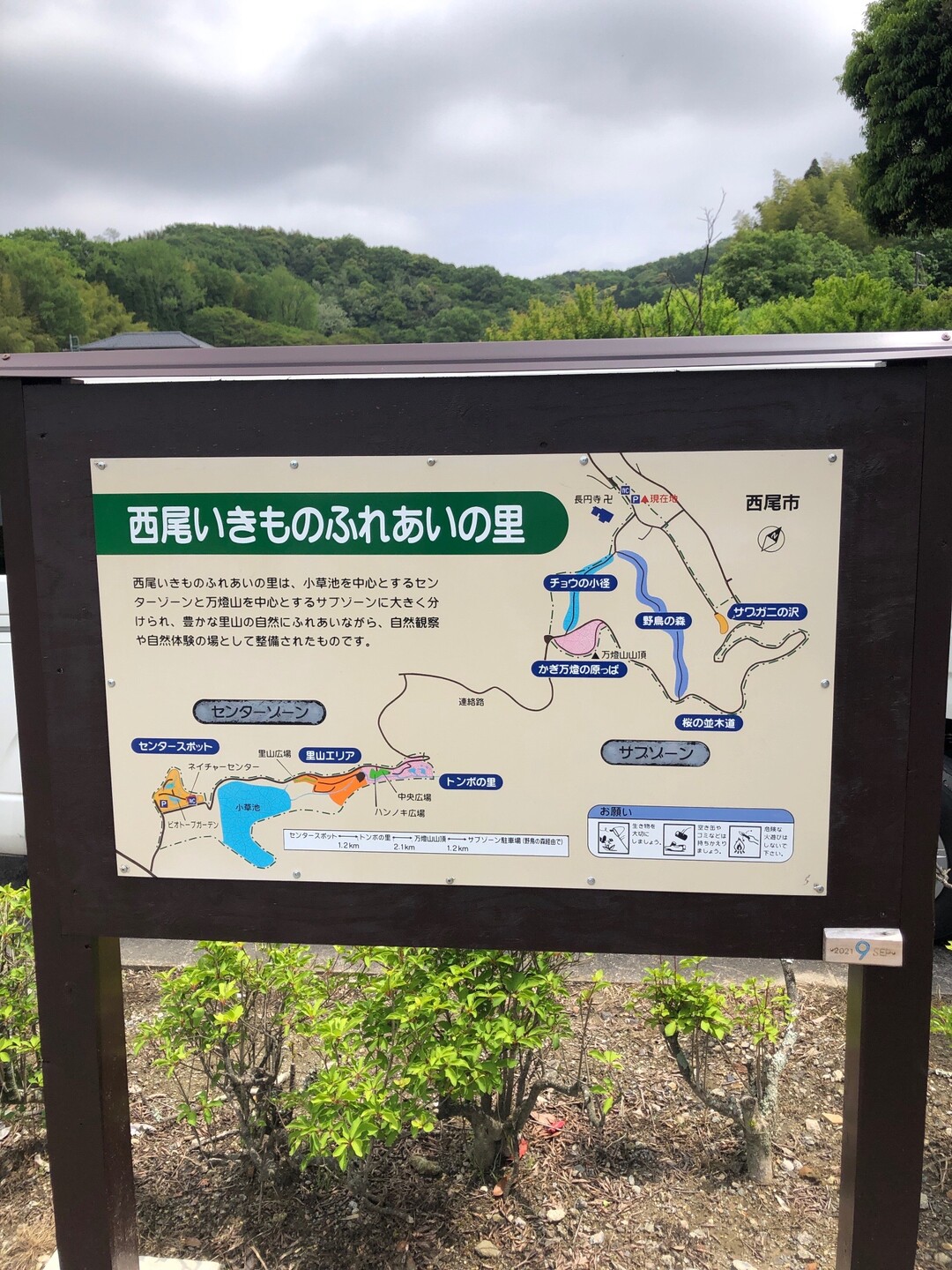 万灯山・万灯山最高点 / aspiさんの茶臼山・万灯山の活動データ | YAMAP / ヤマップ