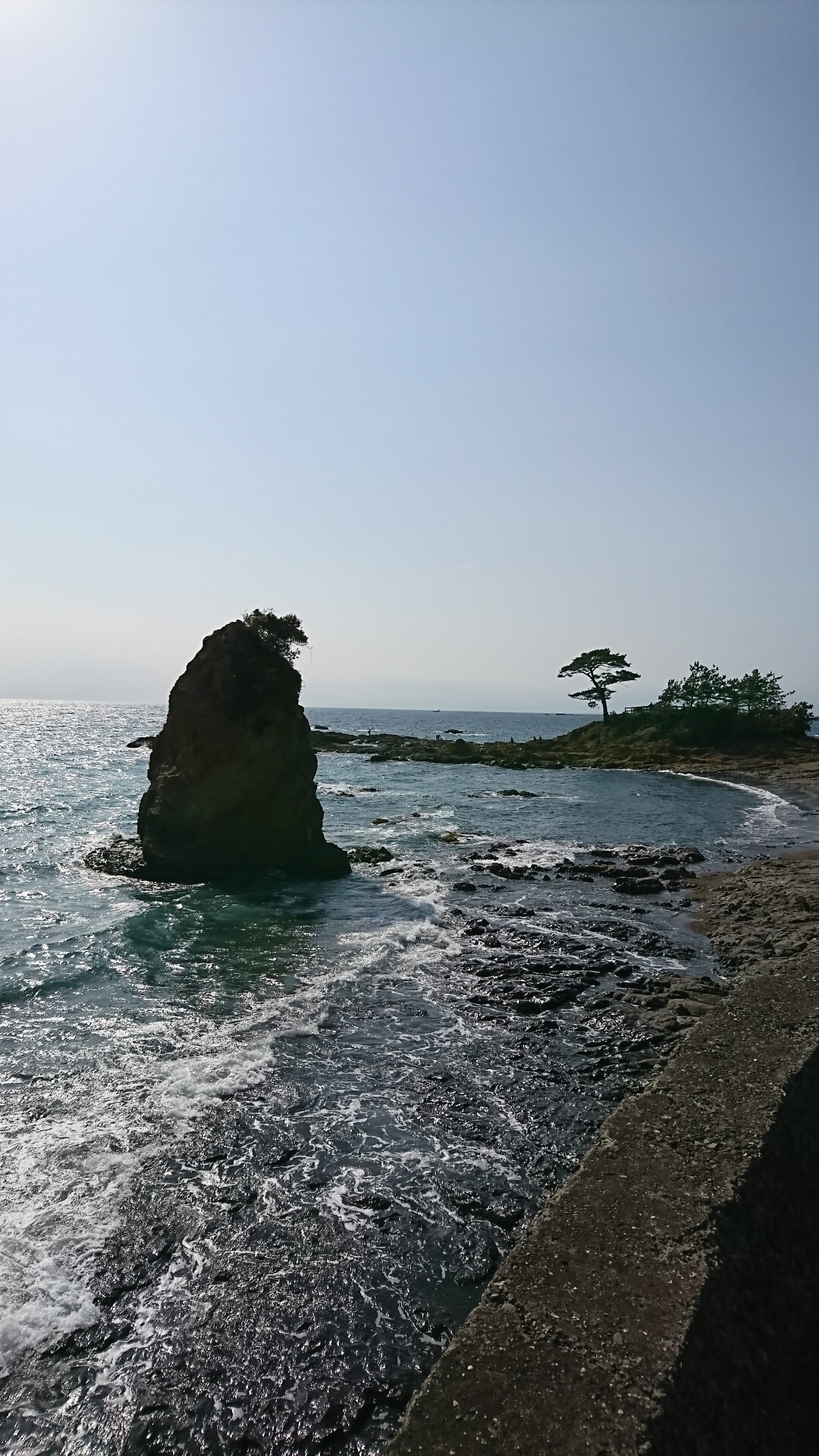 三角点探訪 YRPから佐島方面へ / KKK774さんの横須賀市の活動データ | YAMAP / ヤマップ