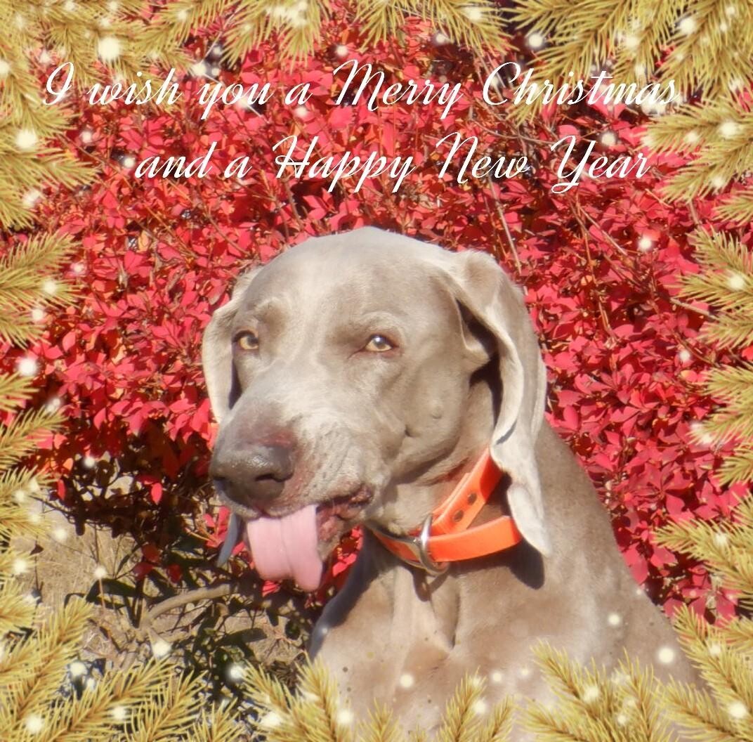 2022.12.25(日) 10:05 / 紫苑さんのモーメント | YAMAP / ヤマップ