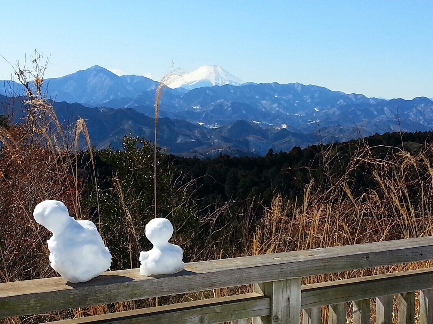 高尾山・陣馬山・景信山-2018-01-25 / uさんの高尾山・陣馬山・景信山の活動日記 | YAMAP / ヤマップ