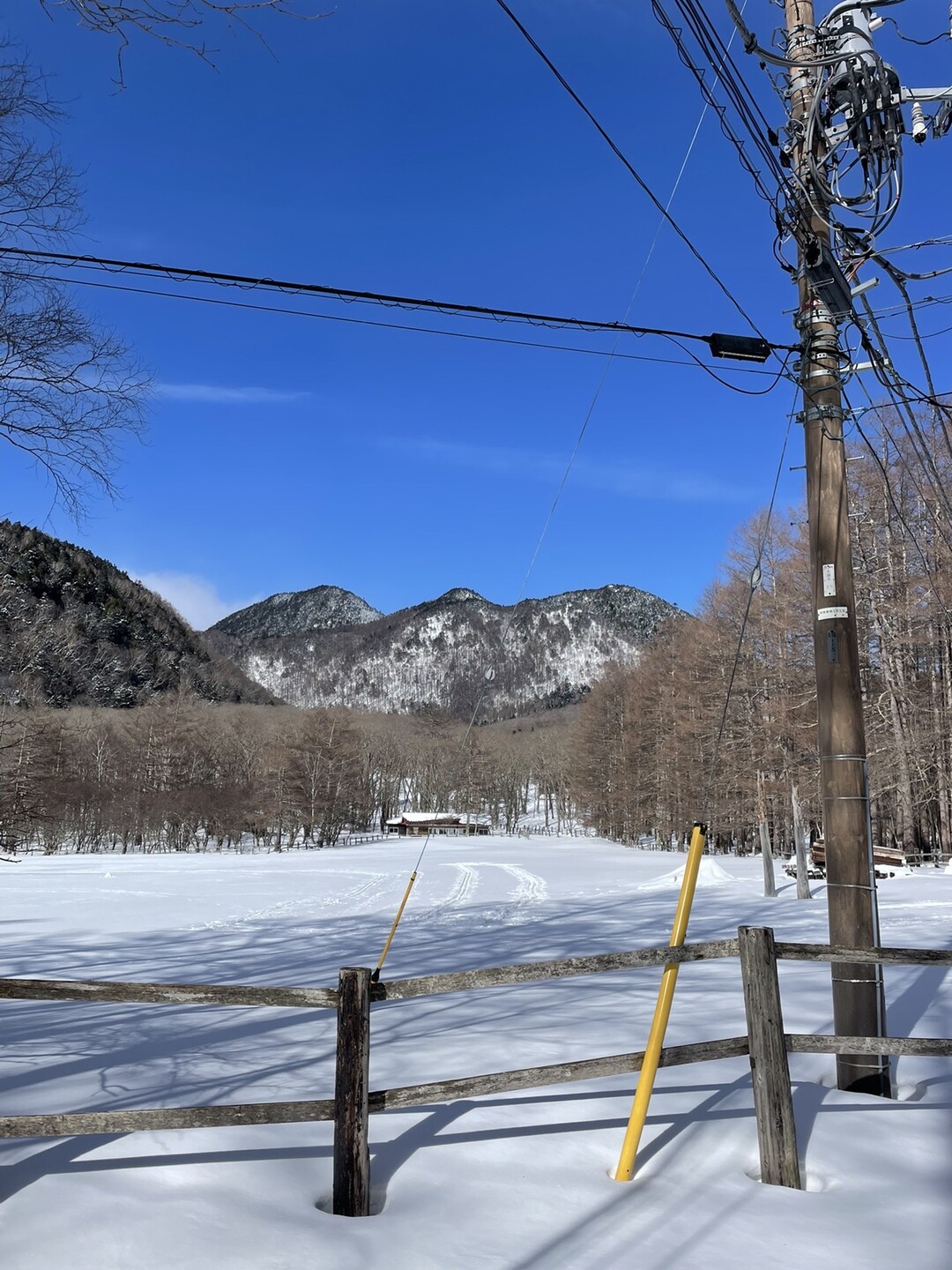 2022 北京オリンピック開幕 日光にて... / saeさんのモーメント | YAMAP / ヤマップ