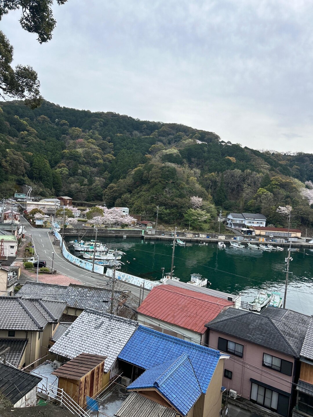BGMは波の音🌊姫越山🌸 / maruoさんの姫越山の活動データ | YAMAP / ヤマップ