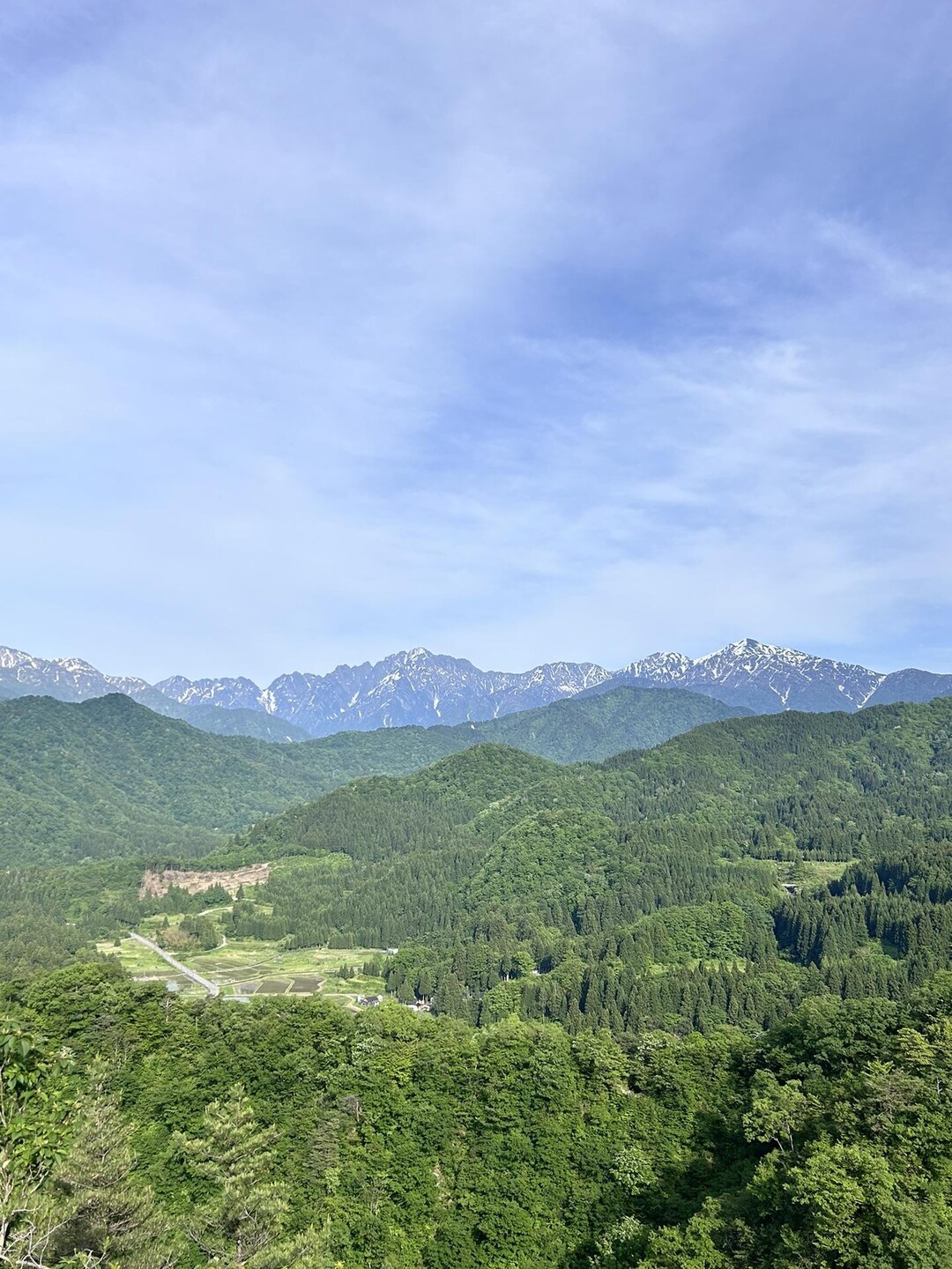 城ヶ平山・峠山・ハゲ山 / MJさんの城ヶ平山・ハゲ山・峠山の活動データ | YAMAP / ヤマップ