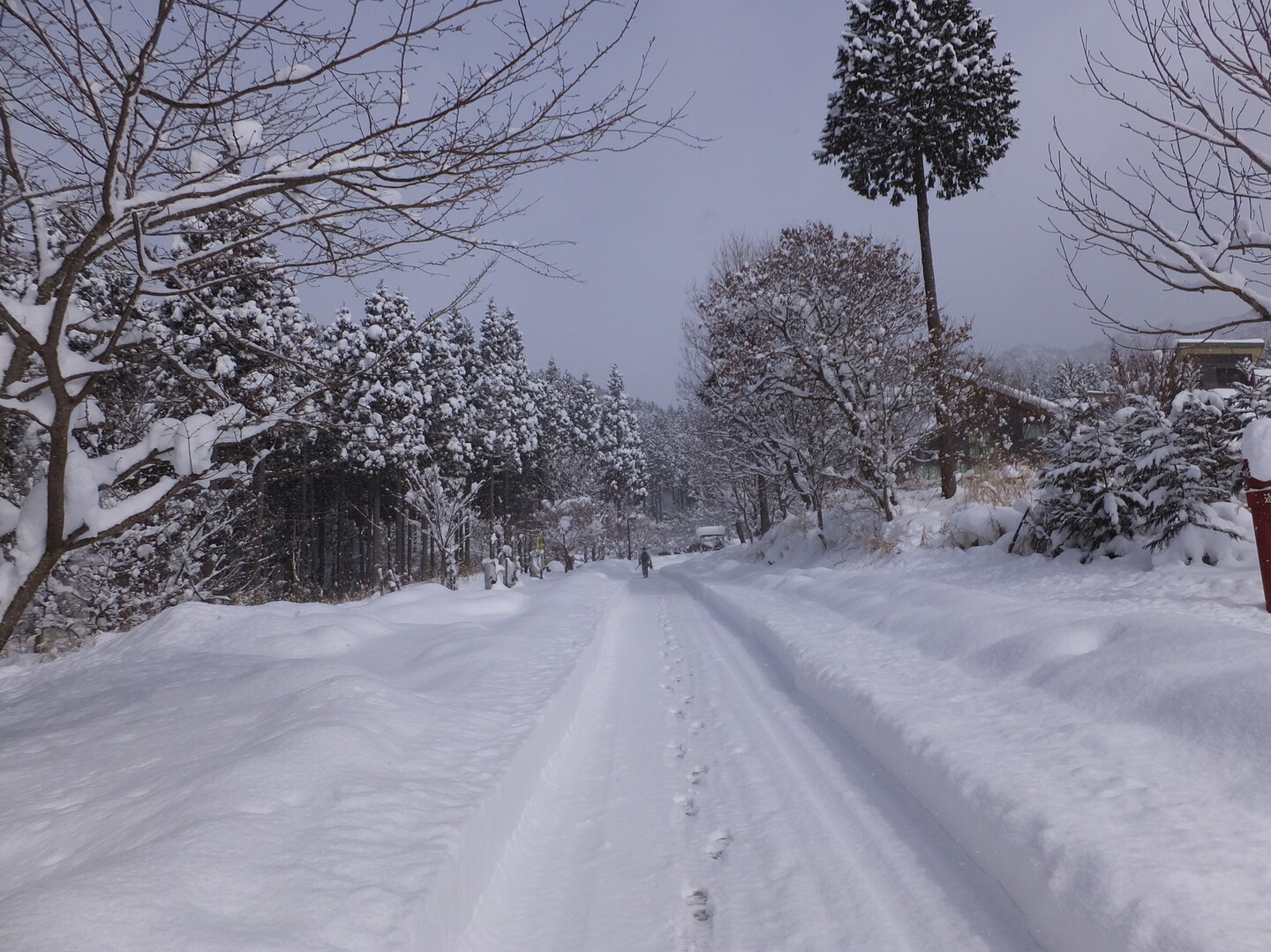 東山(ひがしやま)～山頂までのラッセルに心が折れかけた / umonさんの東山の活動データ | YAMAP / ヤマップ