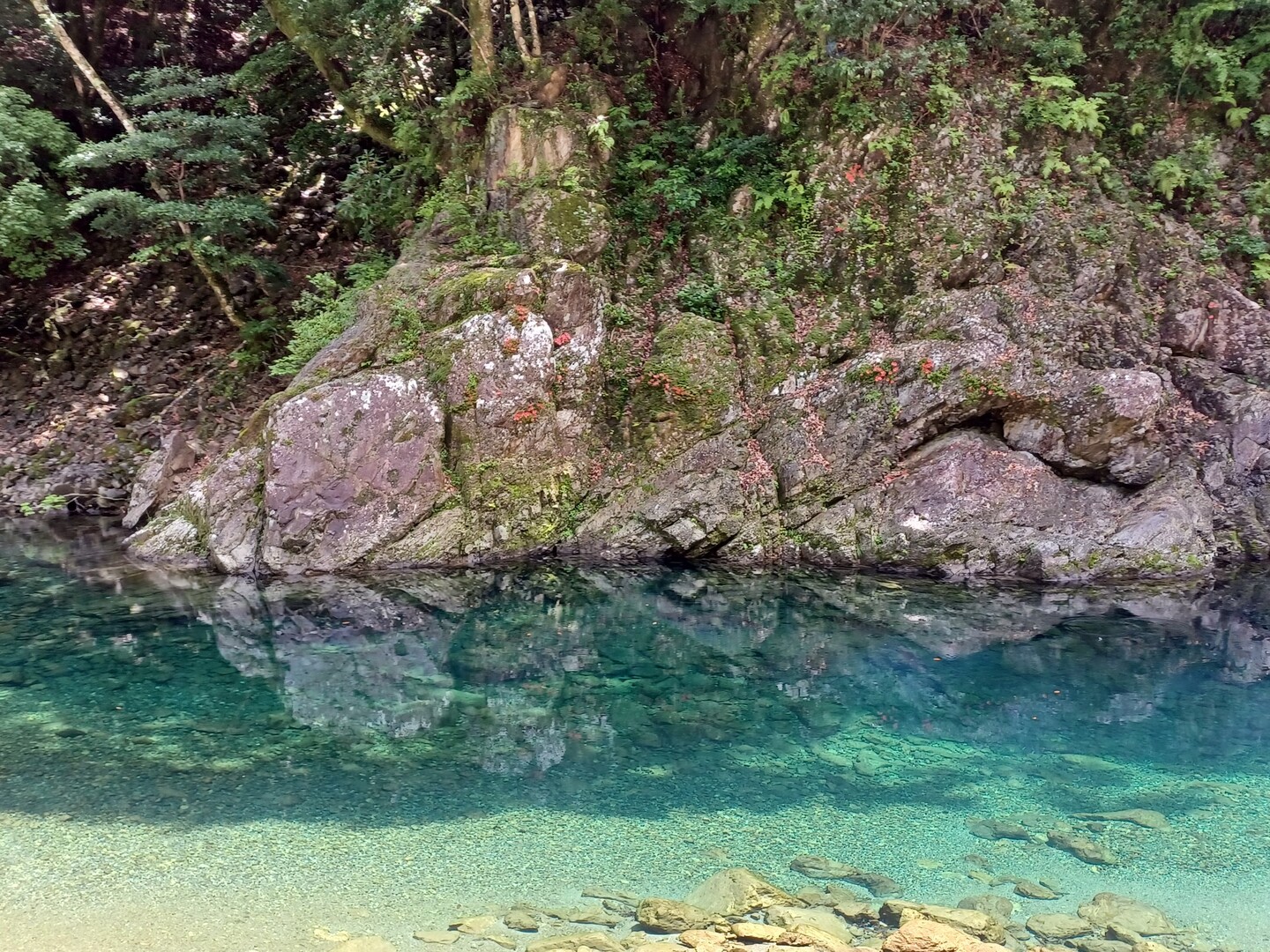 ヒル！ヒル！ヒル祭りの大杉谷 / yukさんの大台ヶ原山・日出ヶ岳・大杉谷の活動日記 | YAMAP / ヤマップ