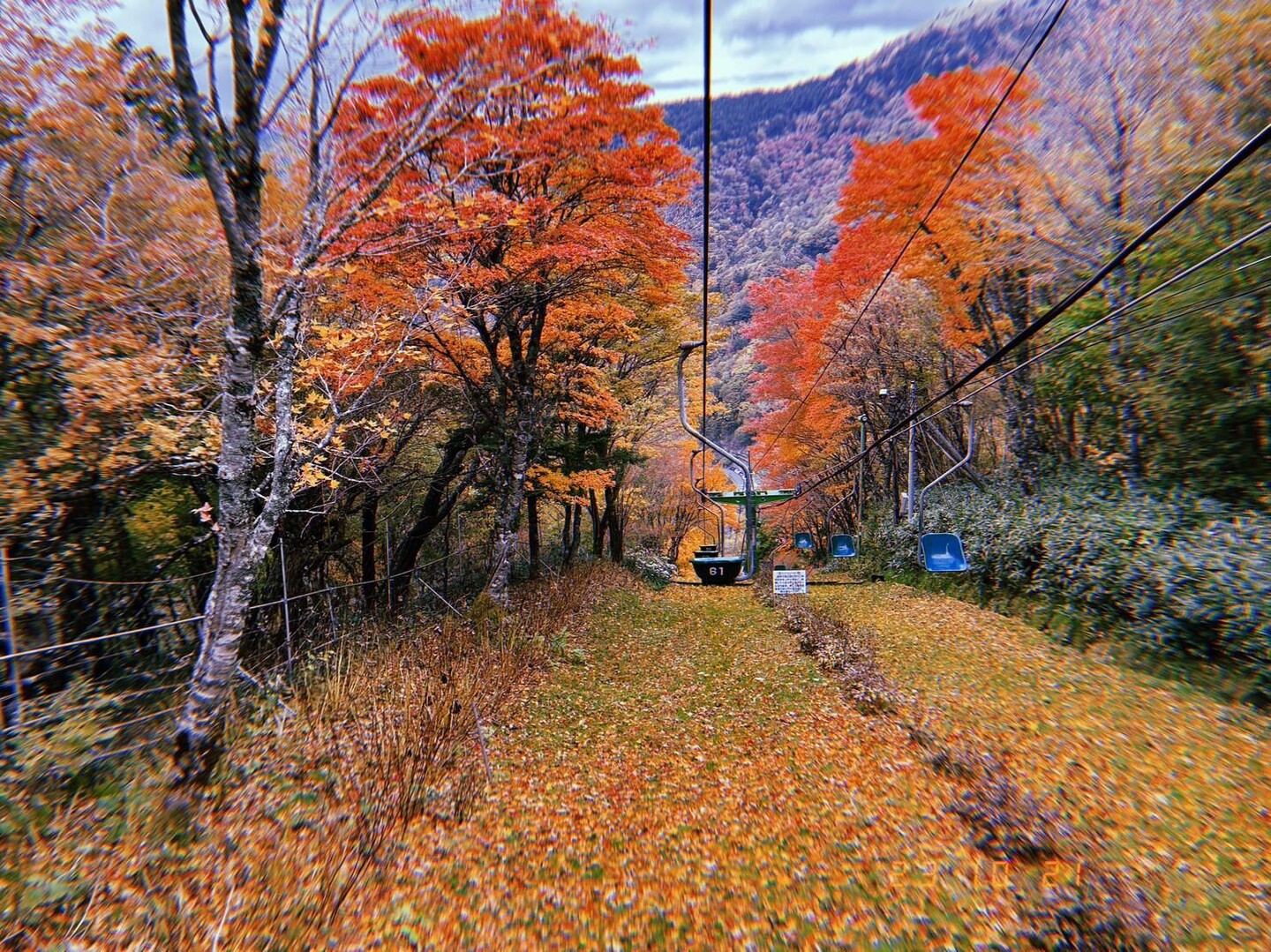 Collab 紅葉＆霧氷 剣山 / ma-kunさんの剣山の活動データ | YAMAP / ヤマップ