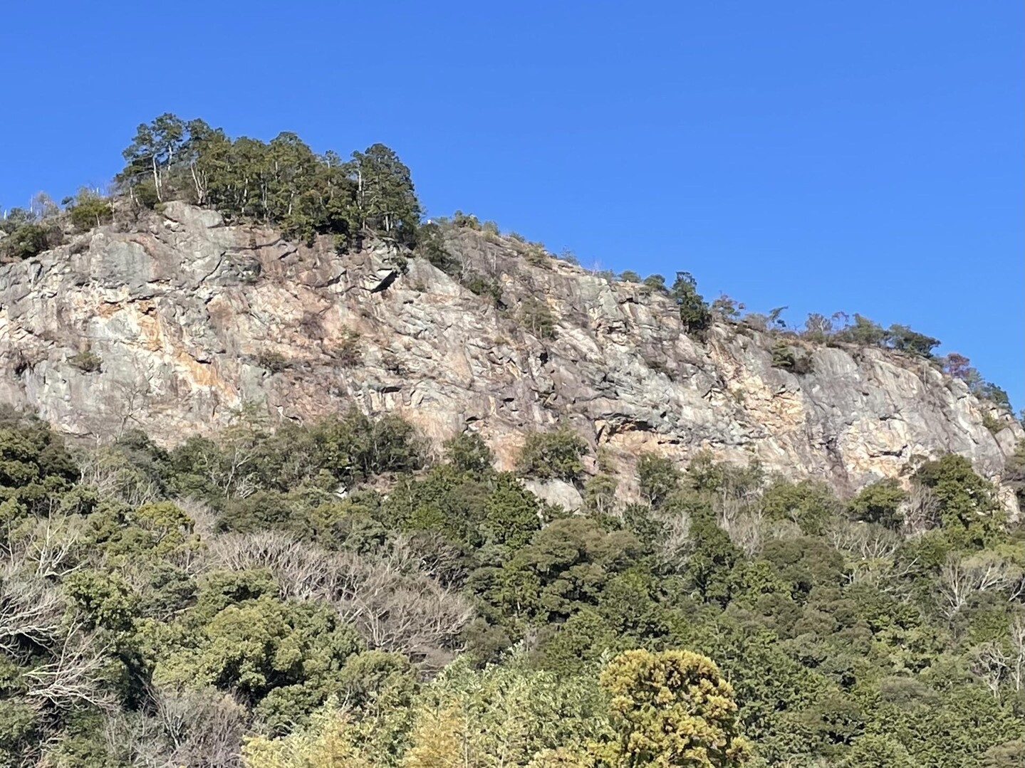 登り納めは遠見山 / M K1218さんの権現山の活動データ | YAMAP / ヤマップ