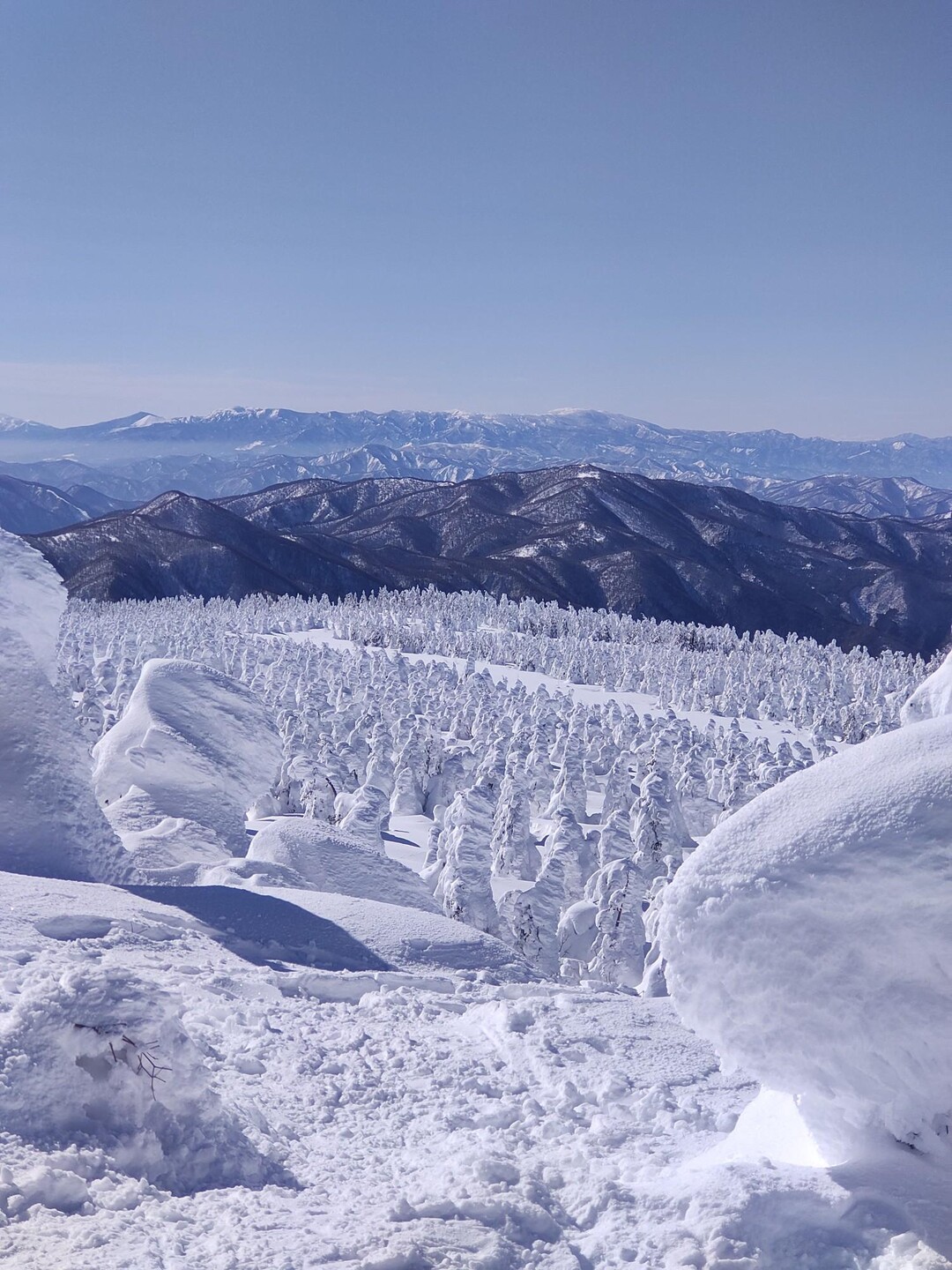 初対面! 蔵王モンスター / kaz kitさんの蔵王山・雁戸山・不忘山の活動データ | YAMAP / ヤマップ