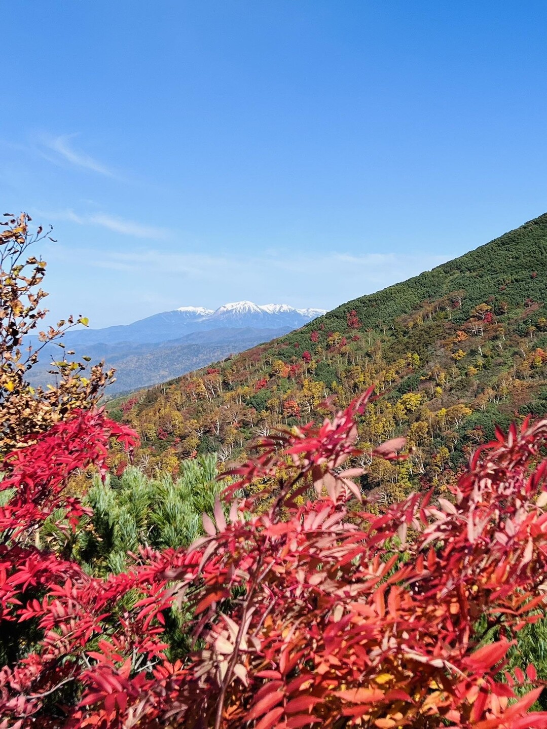 三段山 / FUM!さんの十勝岳・富良野岳・美瑛岳の活動データ | YAMAP / ヤマップ