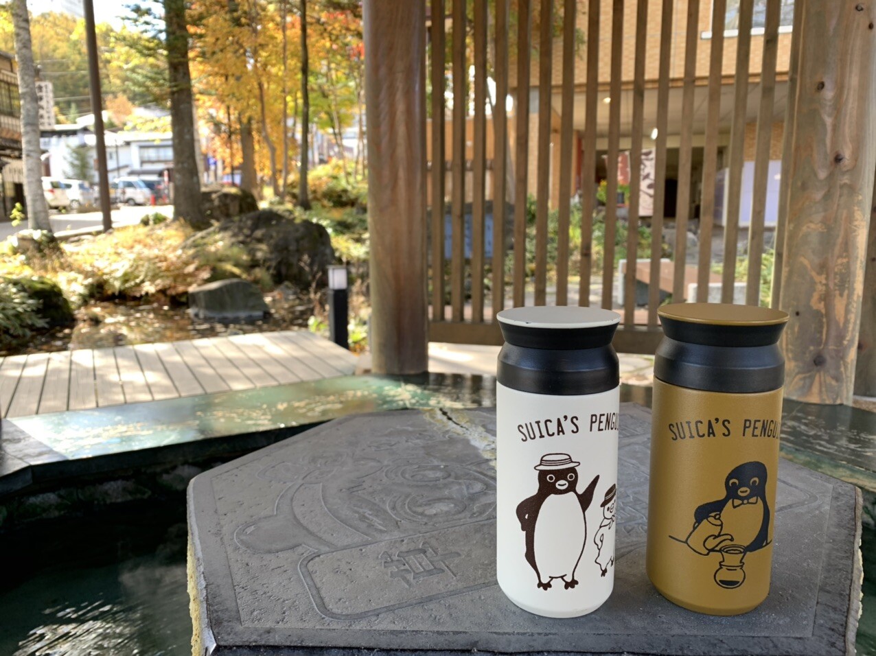 cosyauのページ | YAMAP / ヤマップ