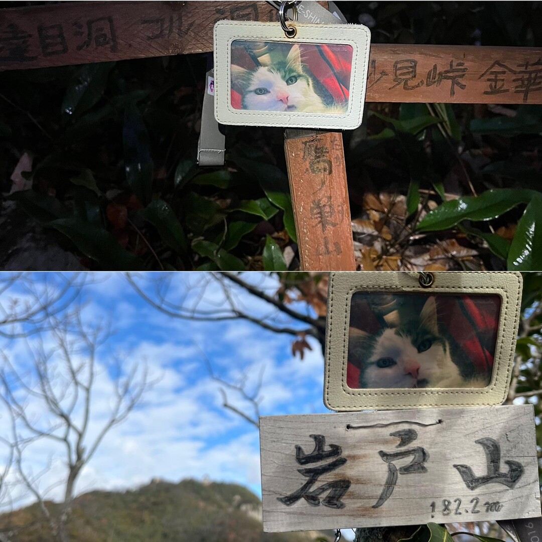 鷹巣山・金華山・岩戸山・なっくんと共にR7-2(通算269) / なっくんさんの金華山・洞山・舟伏山の活動データ | YAMAP / ヤマップ