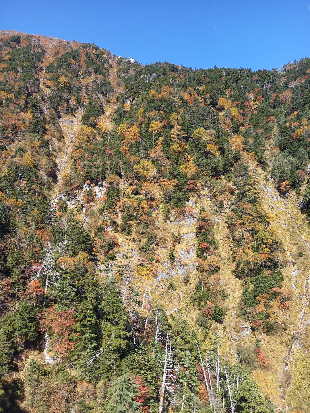 木曽駒ヶ岳までは行けず-2022-10-20 / ririさんの木曽駒ヶ岳・空木岳・越百山の活動データ | YAMAP / ヤマップ