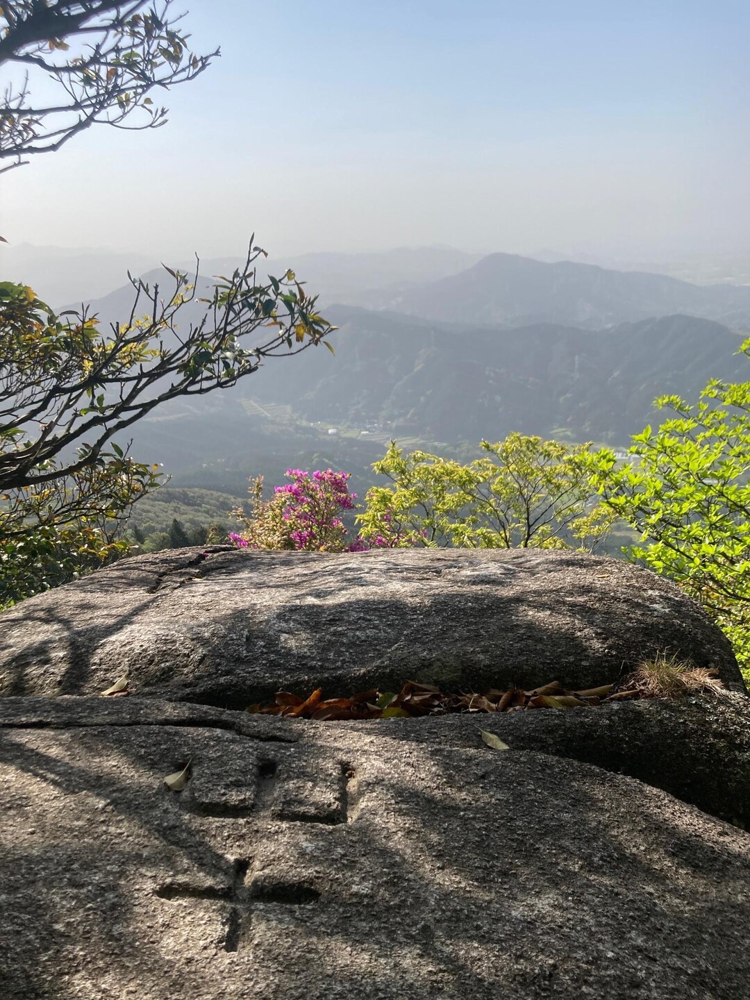 月1宝満山(R5.4.22) / としさんの宝満山・三郡山・若杉山の活動データ | YAMAP / ヤマップ