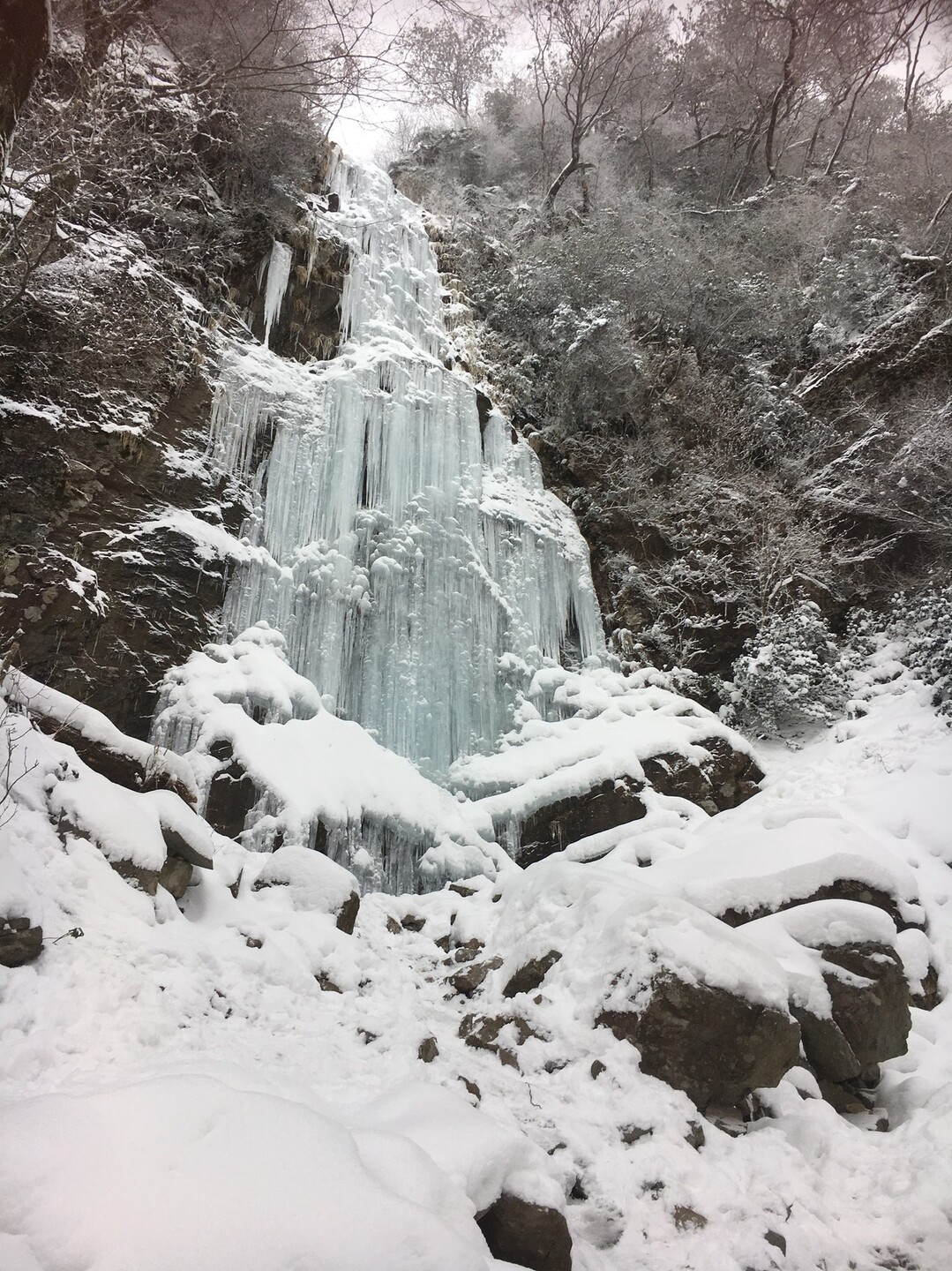 冬の英彦山 / Rintaroさんの英彦山の活動データ | YAMAP / ヤマップ