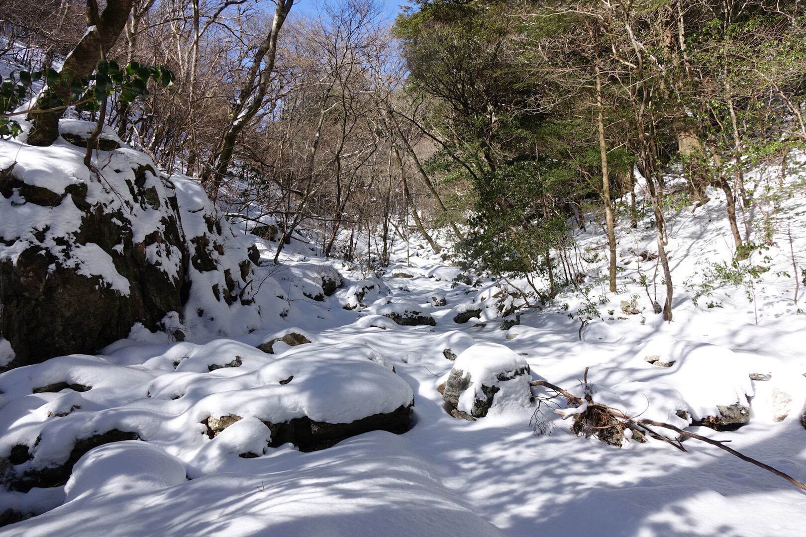 工石山 / FRVさんの工石山の活動データ | YAMAP / ヤマップ