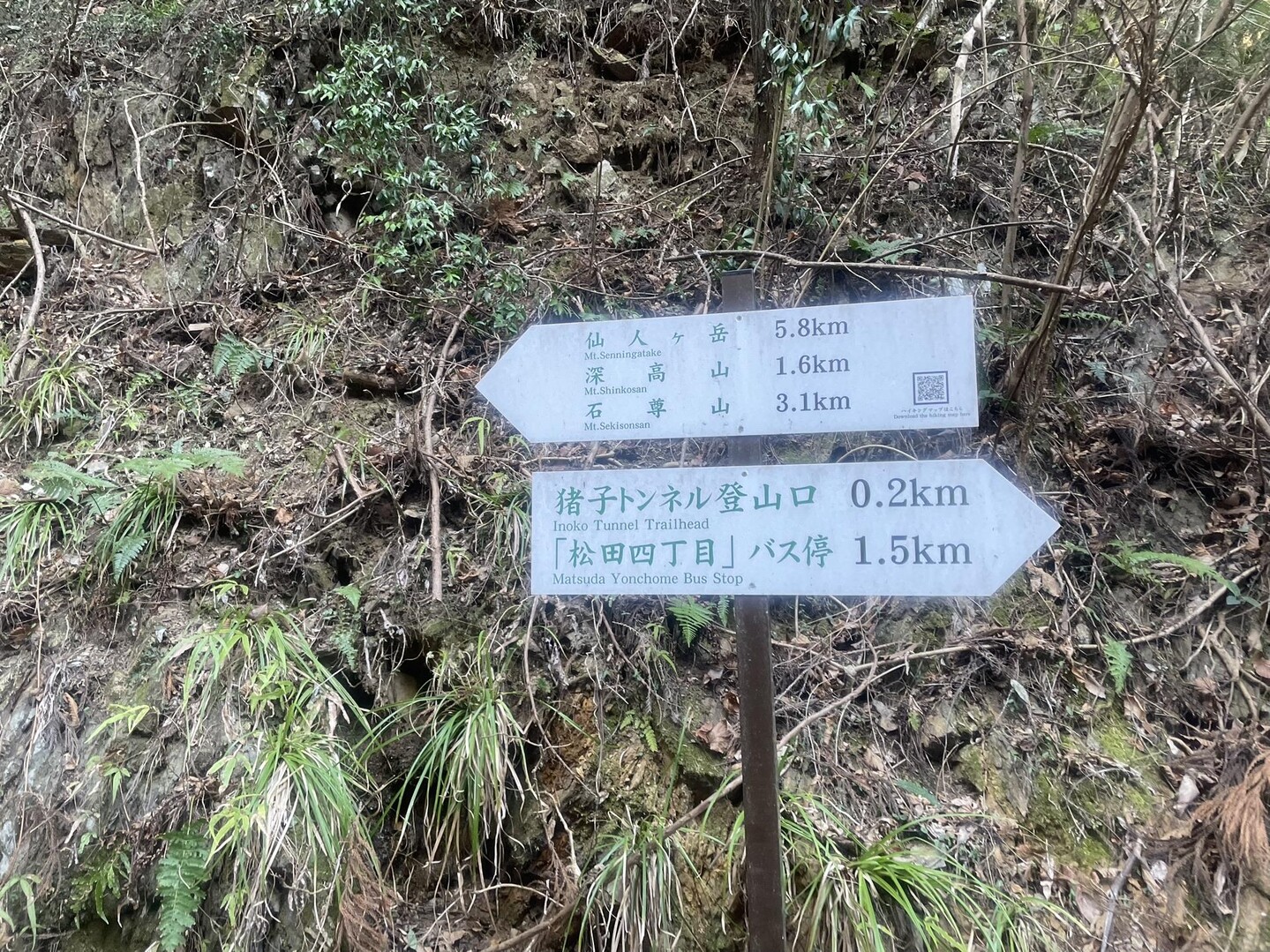 猪子山・惟の岳・宗の岳・知ノ岳・仙人ヶ岳 / HAMHAM21さんの両崖山・仙人ヶ岳・石尊山の活動データ | YAMAP / ヤマップ