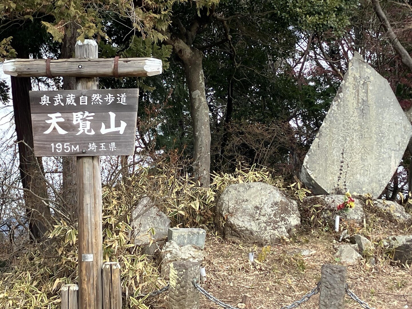 天覧山・多峯主山・大黒山 / h.a.s.Uさんの天覧山・多峯主山・天覚山の活動日記 | YAMAP / ヤマップ