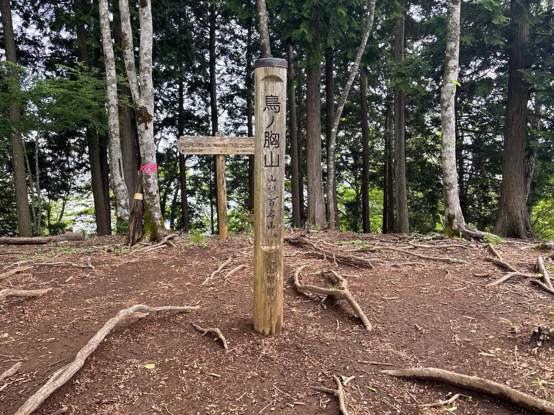 毒抜きで鳥ノ胸山 / Hiro@mou.reさんの大室山・畦ヶ丸山・菰釣山の活動データ | YAMAP / ヤマップ