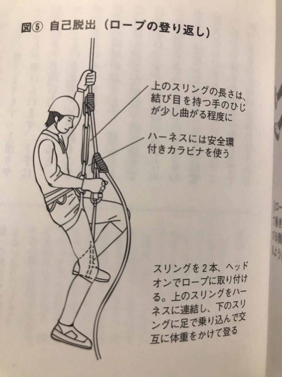 男は縄で / タルル士長 ゆるふわ登山隊さんのモーメント | YAMAP / ヤマップ