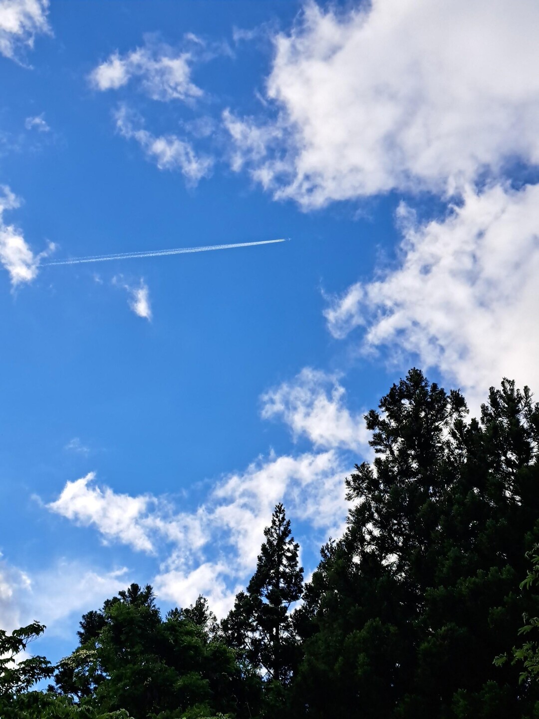 夕練（吉峰山11.7km,0kg,1:51） / S.Shakunagaさんの尖山の活動データ | YAMAP / ヤマップ