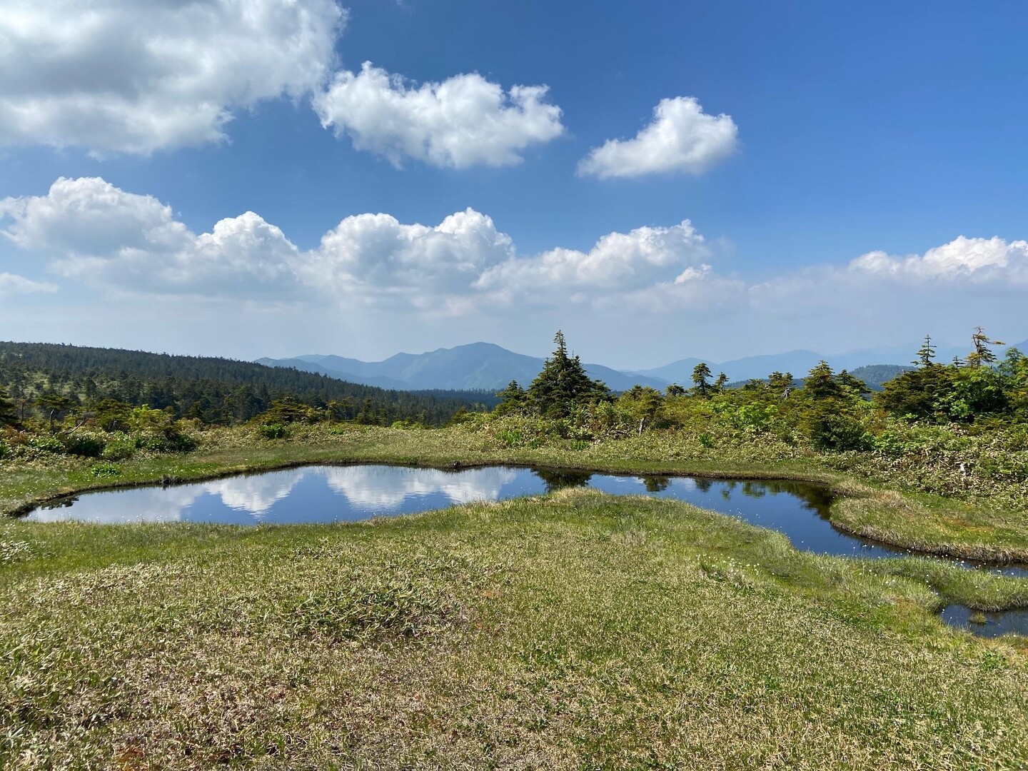 苗場山 / nobさんの苗場山・赤倉山・佐武流山の活動データ | YAMAP / ヤマップ