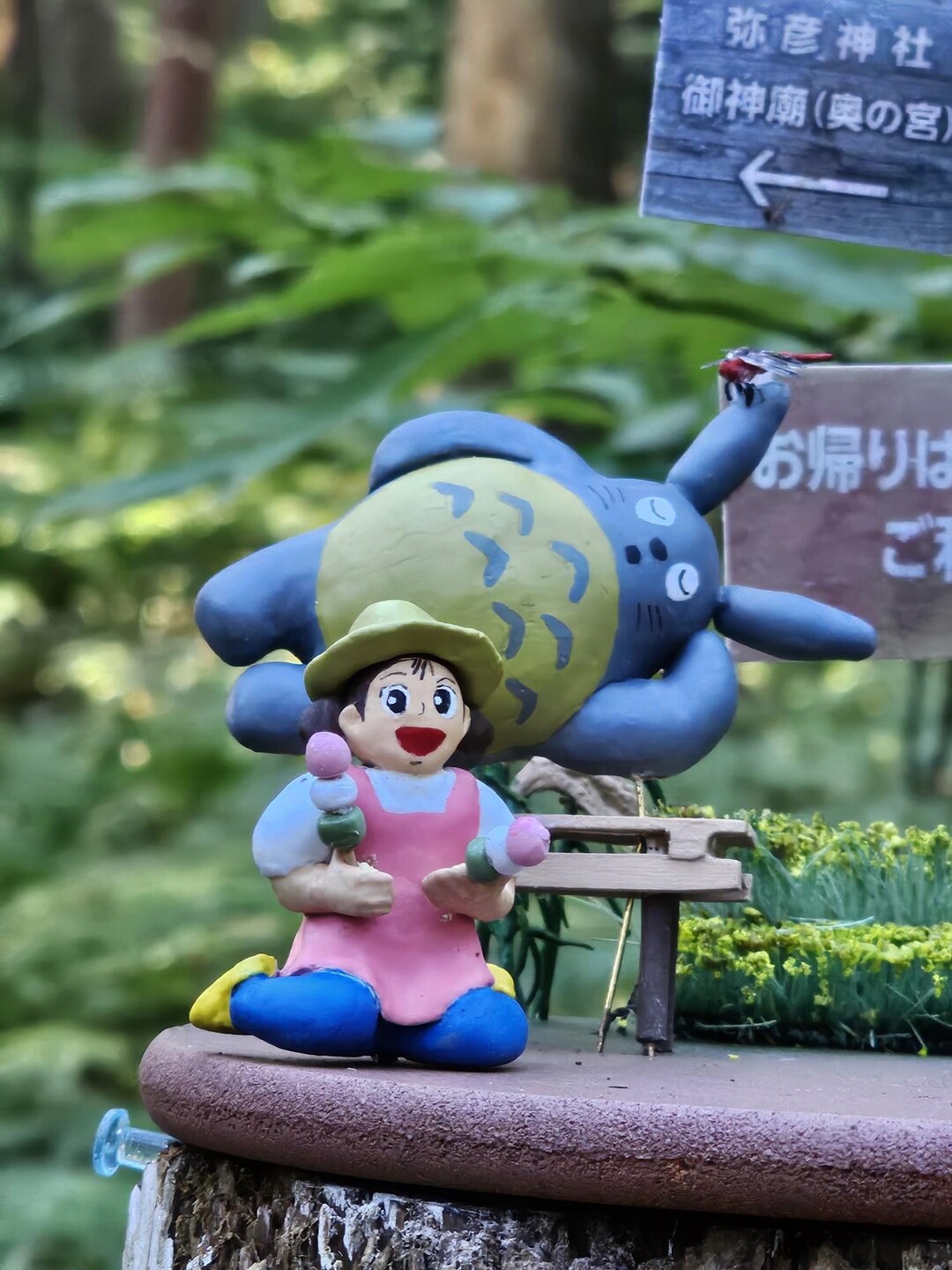 弥彦山 / Qちゃんさんの弥彦山・多宝山・雨乞山の活動データ | YAMAP / ヤマップ