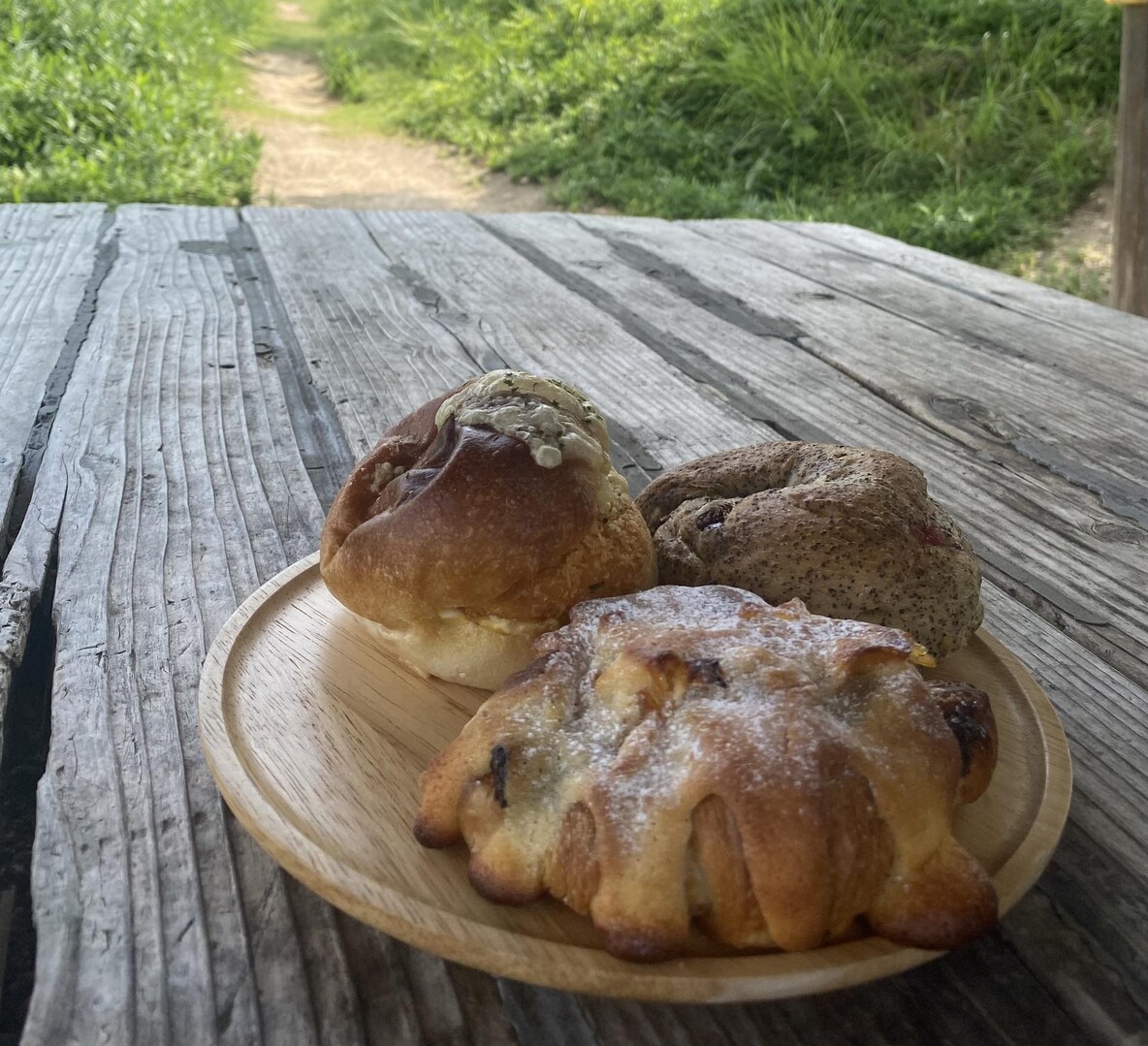 福山 安養寺から / エム陸軍さんの福山・江田山・高鳥居山の活動データ | YAMAP / ヤマップ