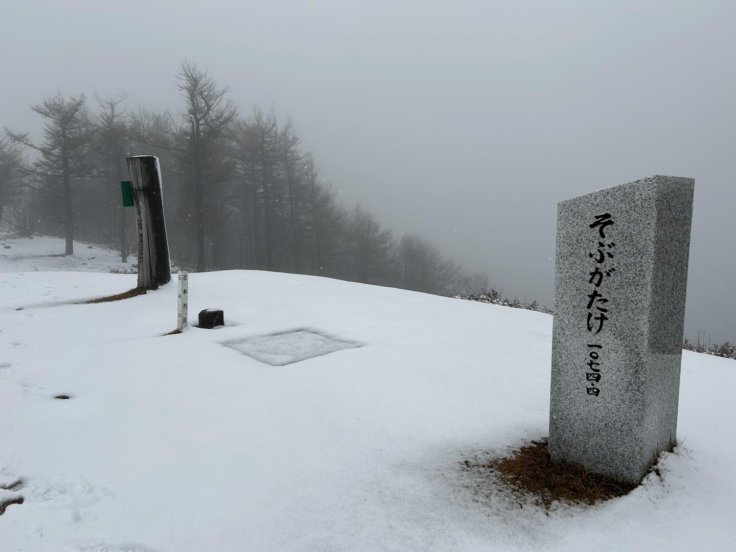 雪の蘇武岳 / manabossさんの蘇武岳の活動データ | YAMAP / ヤマップ